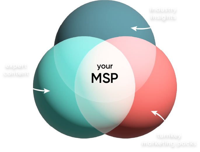 MSP Studio